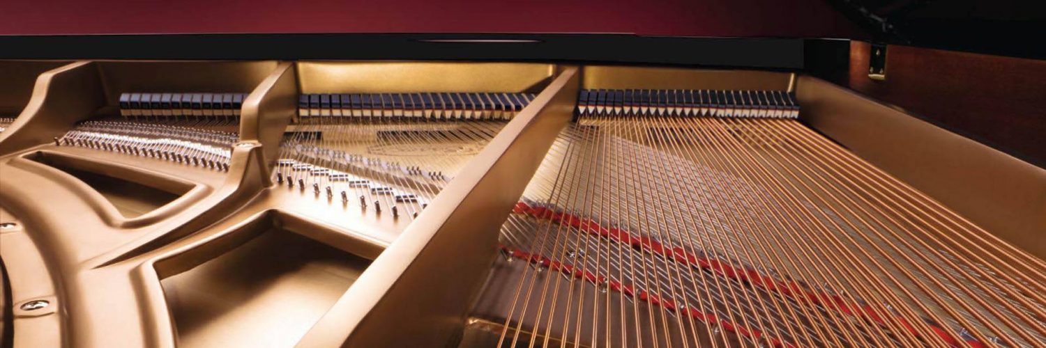 Flügel von August Förster und Grotrian-Steinweg in Dresden kaufen